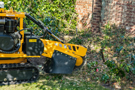 Stump Grinding | South Salem | Rye | Harrison | Somers